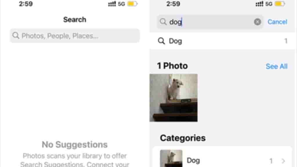 Steps to check if you have duplicate photos on your iPhone - The Tech ...