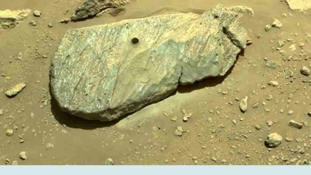 How a sample collected from Mars will look get to know all about it ...