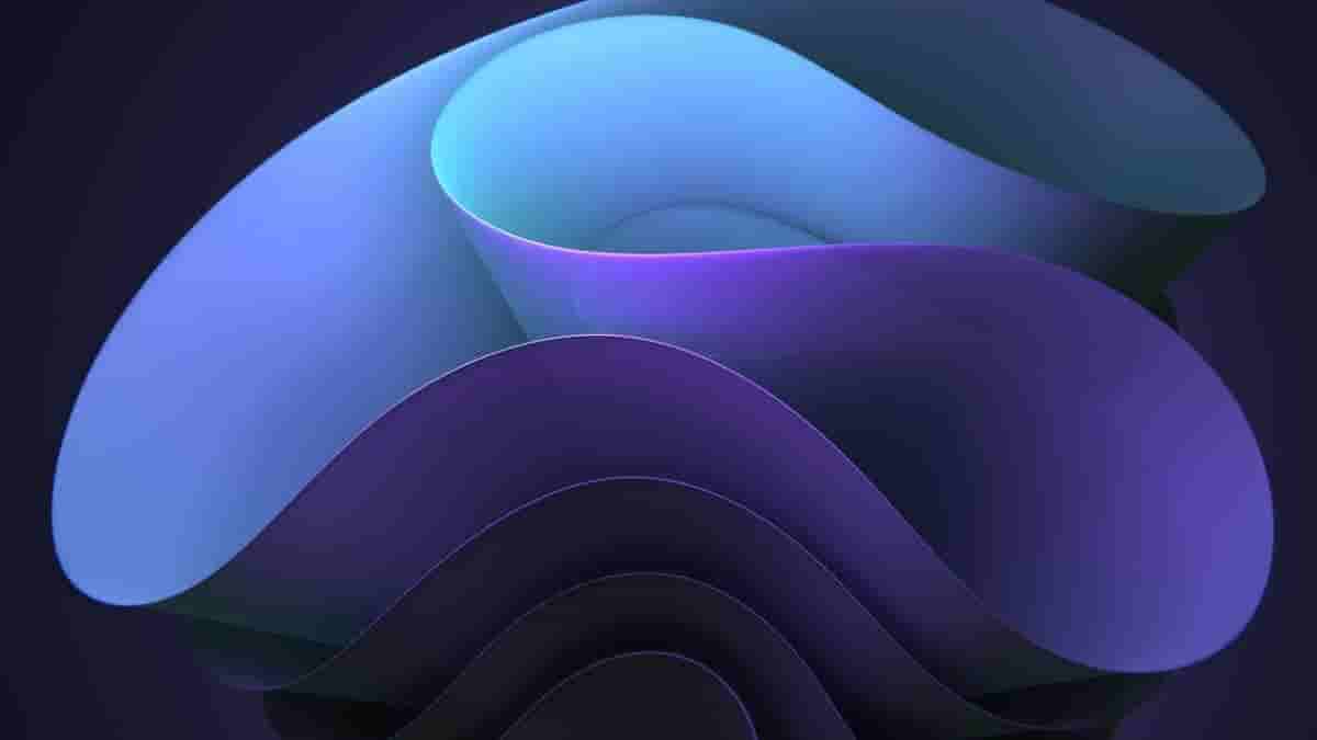 Download these fascinating Bloom wallpapers to make your pc or mac look ...