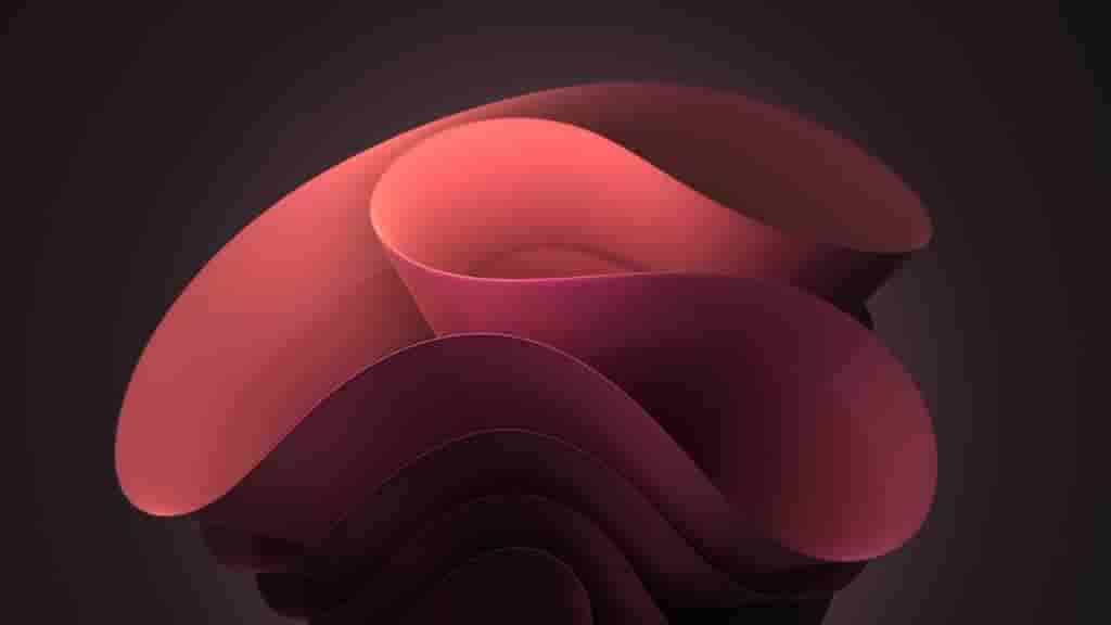 Download these fascinating Bloom wallpapers to make your pc or mac look ...