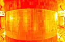 Scientists Discovered Black Fungus Feeding on Gamma Radiation Inside ...