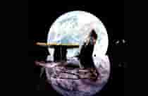 All about PA-99-N2, the exoplanet in our galactic neighbour: Andromeda ...