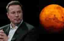 Scientists Discovered Black Fungus Feeding on Gamma Radiation Inside ...