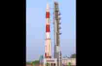 Scientists Discovered Black Fungus Feeding on Gamma Radiation Inside ...